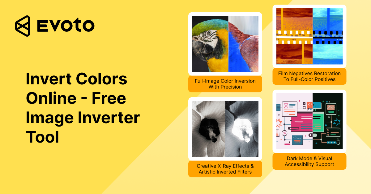 Image Inverter - Invert Photo Colors Online for Free | Evoto