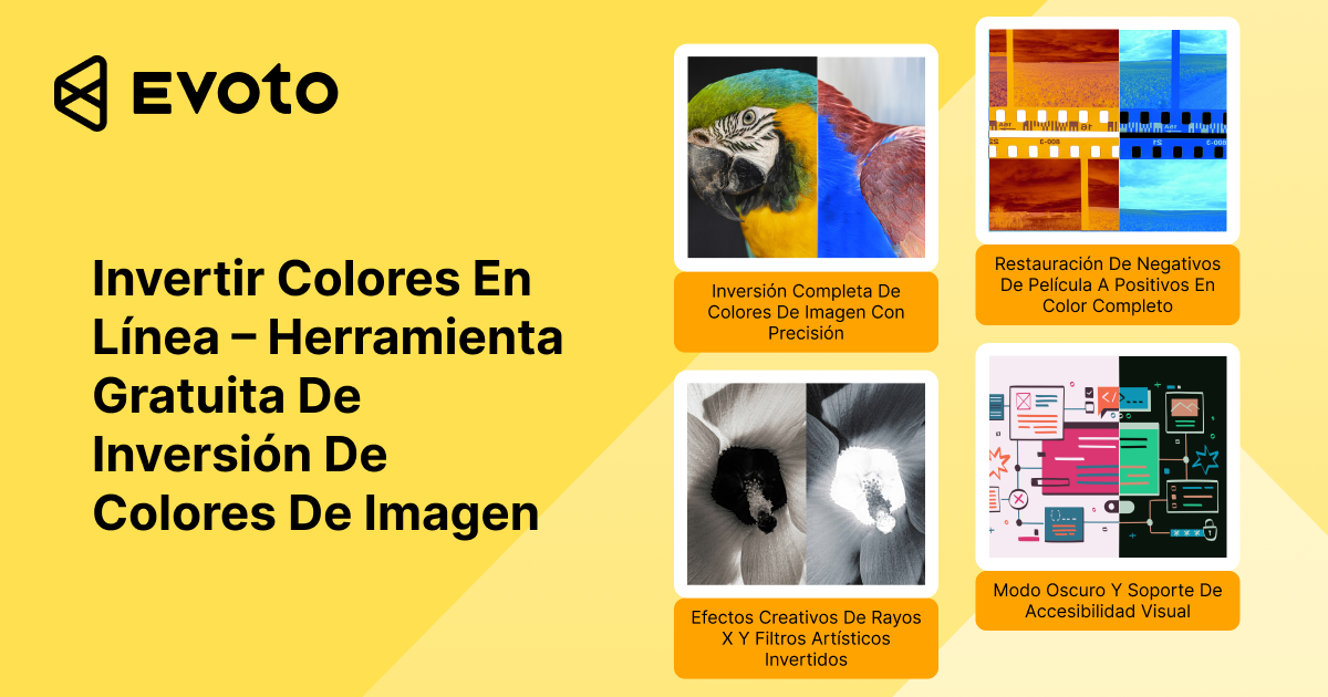 Inversor de colores de imagen – Invertir colores de foto en línea ...
