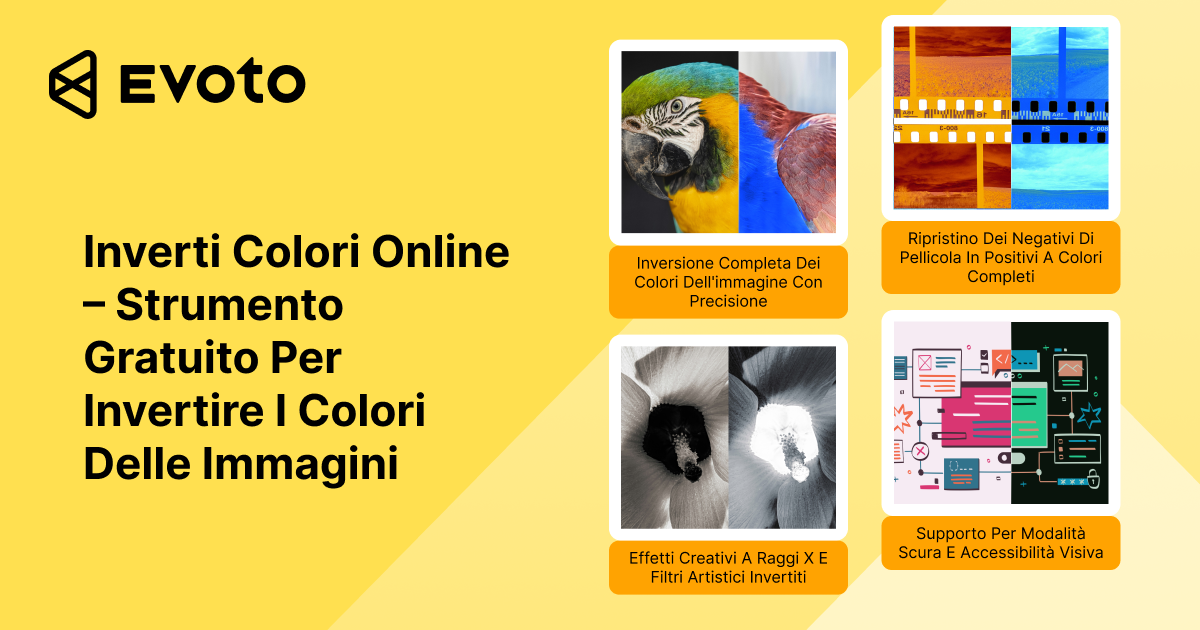 Inverti colori immagine – Inverti i colori della foto online gratis | Evoto